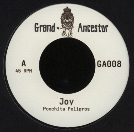 Ponchita Peligros / Helgeland 8-bit Squad ‎– Joy / Joy Dub (SECOND HAND ...